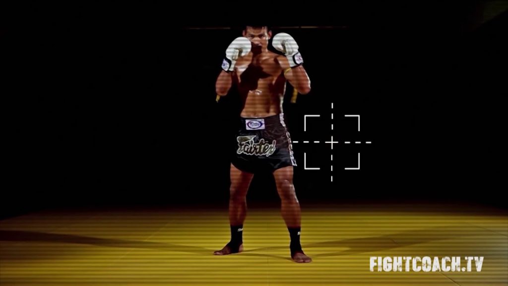 Chute Circular (เตะตัด) - Fightcoach: Professional Muay Thai ...